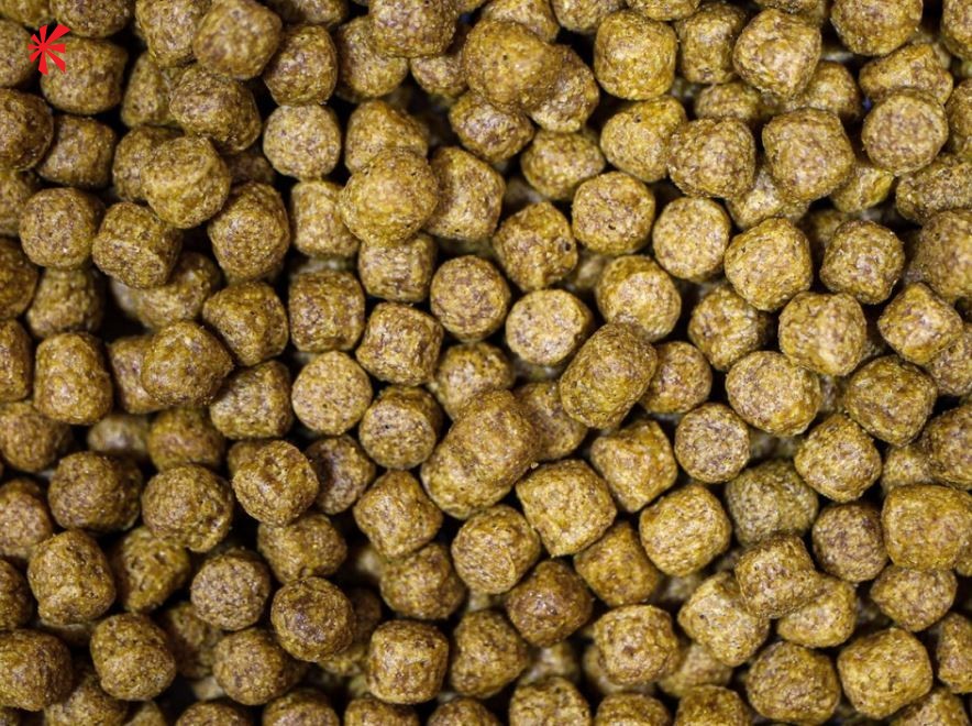 NT Labs - Medikoi Health Koi Food (6mm pellet) - Koi Logic