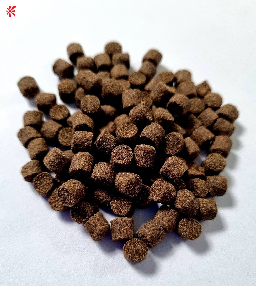 Koi Logic Migotona Sinking Koi Food