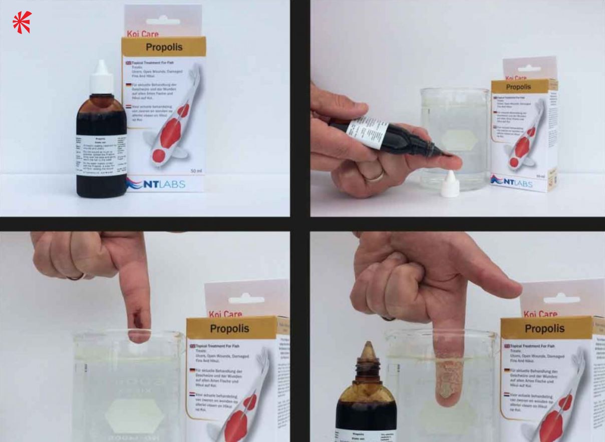 NT Labs Koi Care - Propolis Wound Seal - Koi Logic