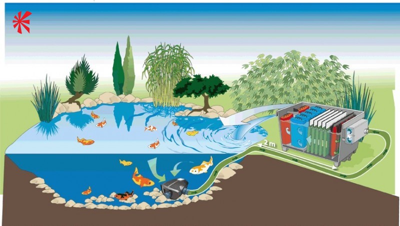 Oase Biotec 30 Pond Filter - Koi Logic